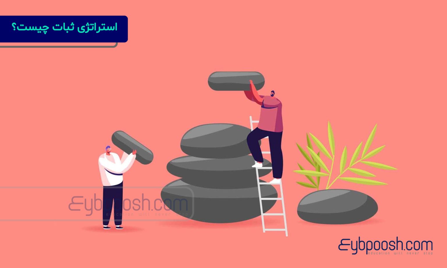 استراتژی‌ ثبات (Stability Strategy) چیست؟